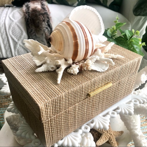 Cyndy’s Beach House | Accents | New Woven Wood Tona Seashell Coral Box ...